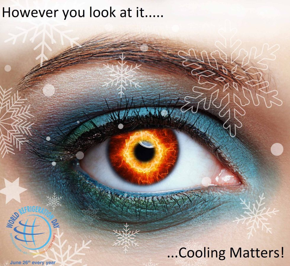 Cooling Matters: World Refrigeration Day 2022 theme announced | World ...